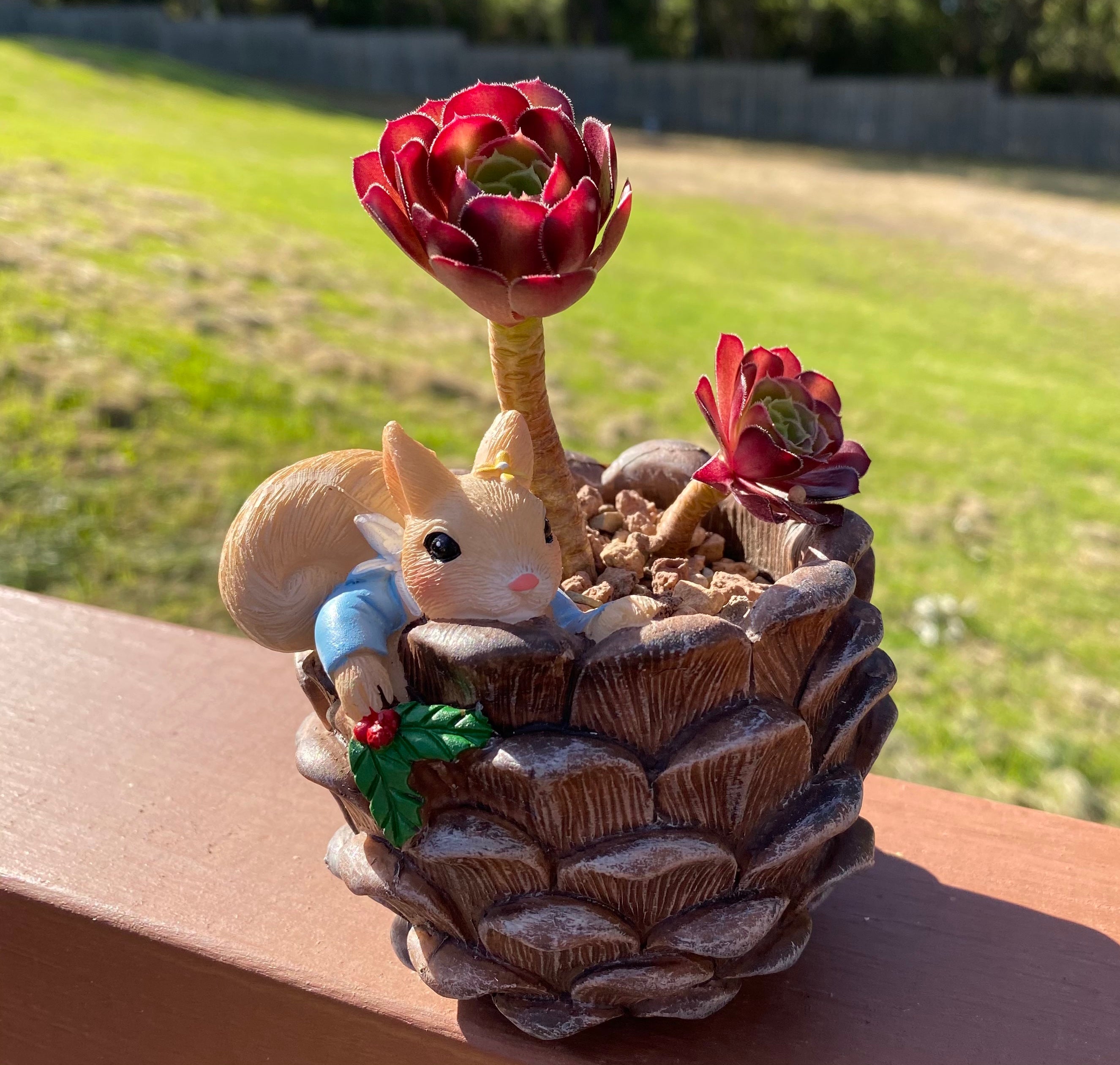 Decorative Succulent Pots & Planters – tagged "pots" – Bella Succulent ...