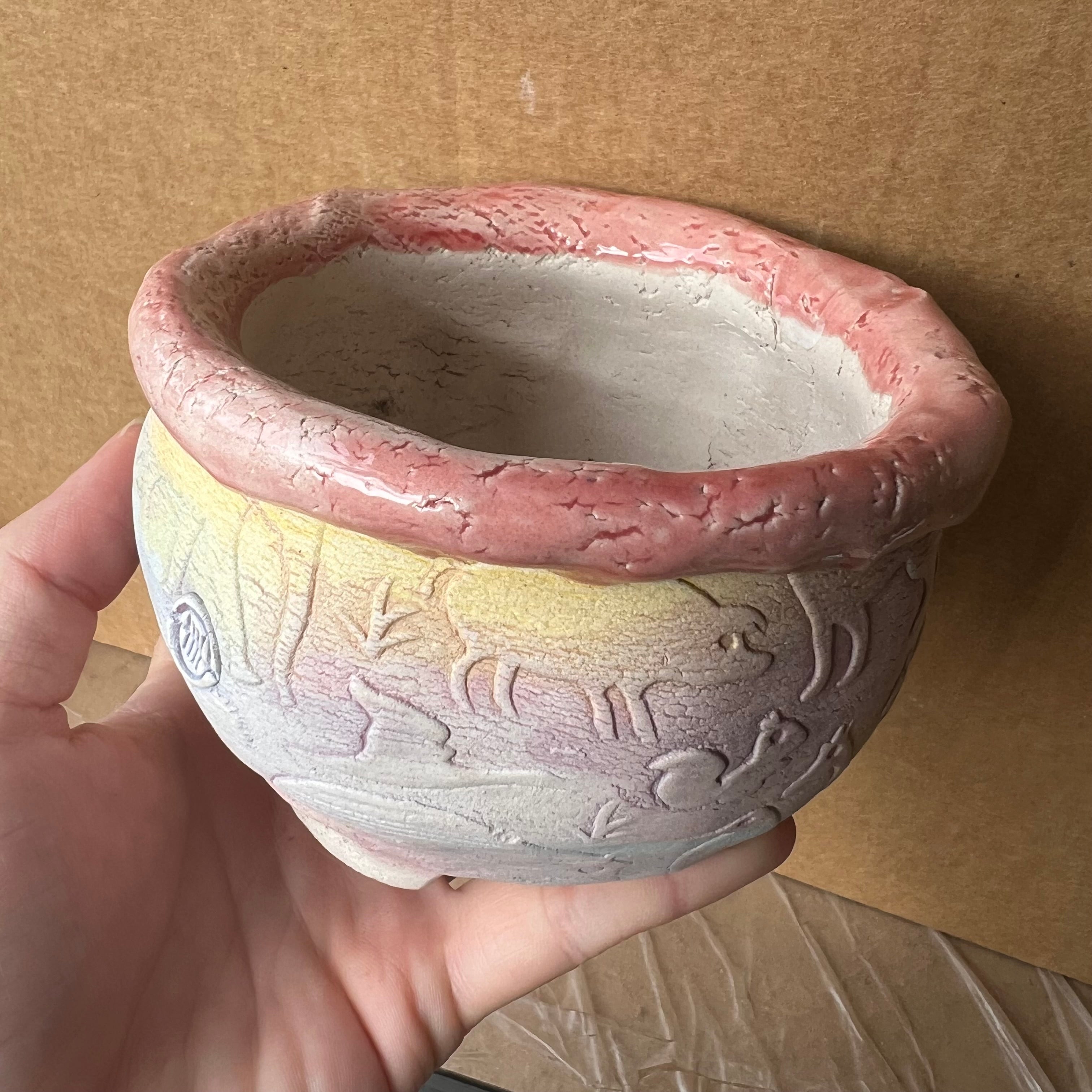 [YIXI] 9cm Round 'circus' – Bella Succulent Garden